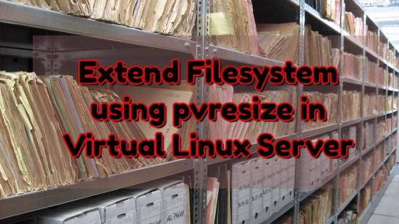 Learn to Extend Filesystem using pvresize in the Virtual Linux Server