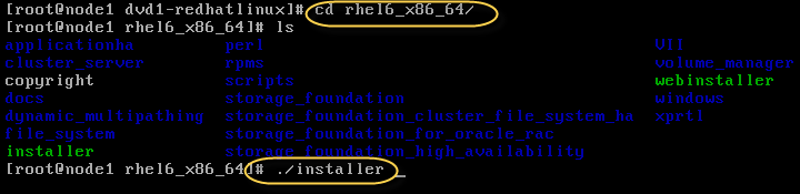 Installing Veritas Storage Foundation and High Availability on Linux