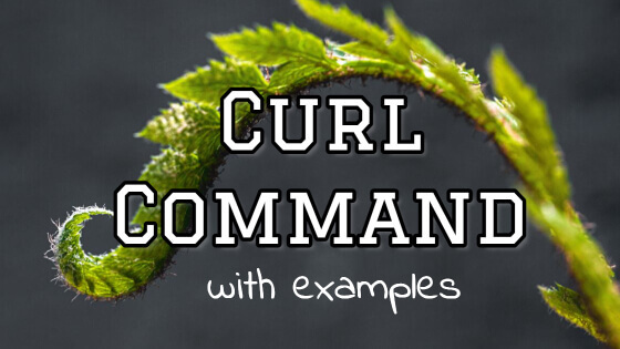11 Curl Command Examples In Linux 4148